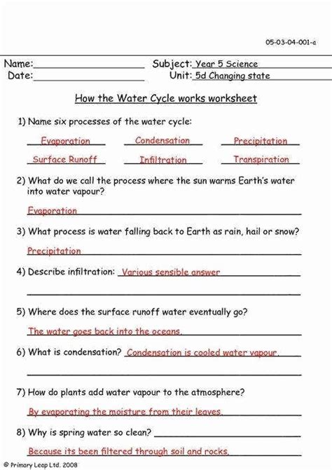 Nutrient Cycles Worksheet Answer Key Printable Word Searches