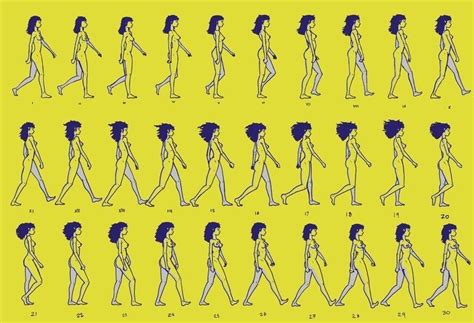 Best 13 25 Best Walk Cycle Animation Videos And Keyframe Illustrations
