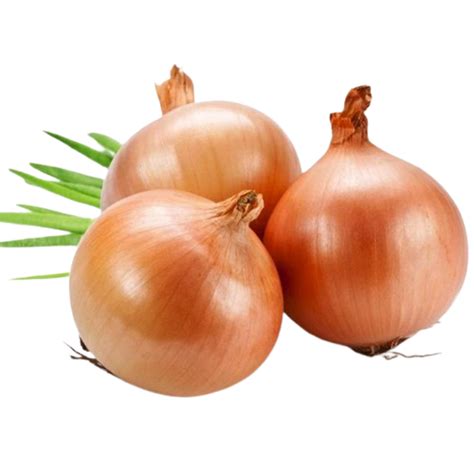 Cebola Branca Png