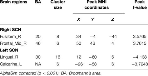 Functional Connectivity Of Regions Of Interest Rois Download Table