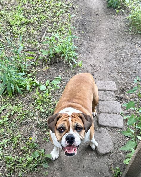 Learn More About Sex Therapy And Somatic Sex Therapy How Can Sex Therapy Help Me — Somatic