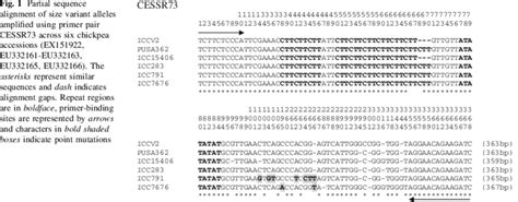 Partial Sequence Alignment Of Size Variant Alleles Amplified Using Download Scientific Diagram