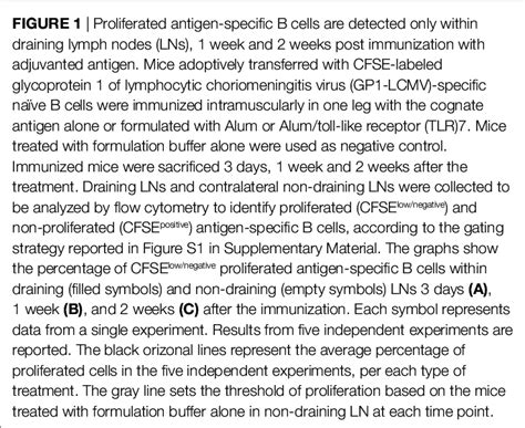 Proliferated Antigen Specific B Cells Are Detected Only Within