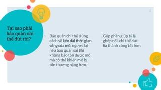 Chuyên đề bảo quản chi đứt rời pptx