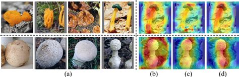 Figure 1 From σ Adaptive Decoupled Prototype For Few Shot Object Detection Semantic Scholar