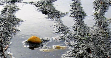 Todd Zebert Los Angeles California Usc Mba Aboutme