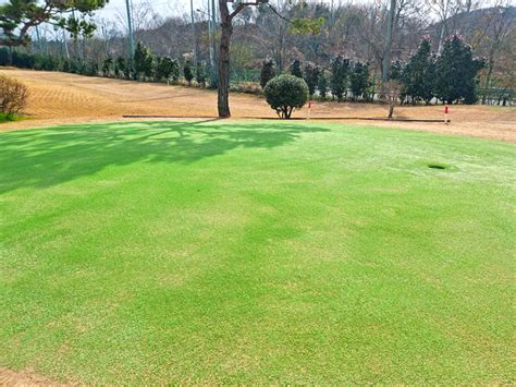 그라운드 골프장 인조잔디 유지관리 As 늘봄그린 시공실적 유지관리