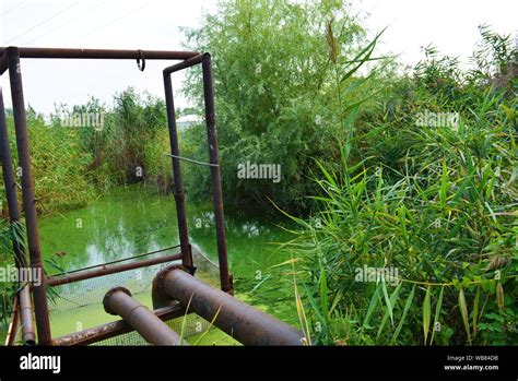 Metal Towing Structure With A Long Pipeline And Access To The Bank Of The Samara River Ecology