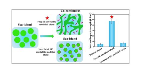 Revisiting The Effect Of Constructing Stereocomplex Crystallites