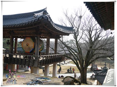 【韓國跟團】大邱釜山行d1~行程很趕的桐華寺。八公山纜車。金光石路。東城路。蕩蕩炸雞。皇后飯店 哪哪麻