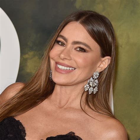 Sofia Vergara Demi Lovato Lea Michele And More A Listers 49 Celebs