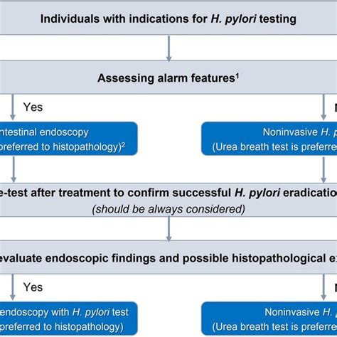 algorithm for selection of helicobacter pylori eradication regimen