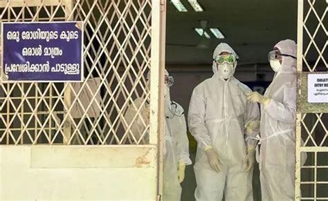 No New Positive Case Of Nipah 61 Negative Results Kerala Govt
