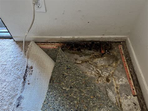 Residential Property Emergency Restoration Msb Disaster Recovery