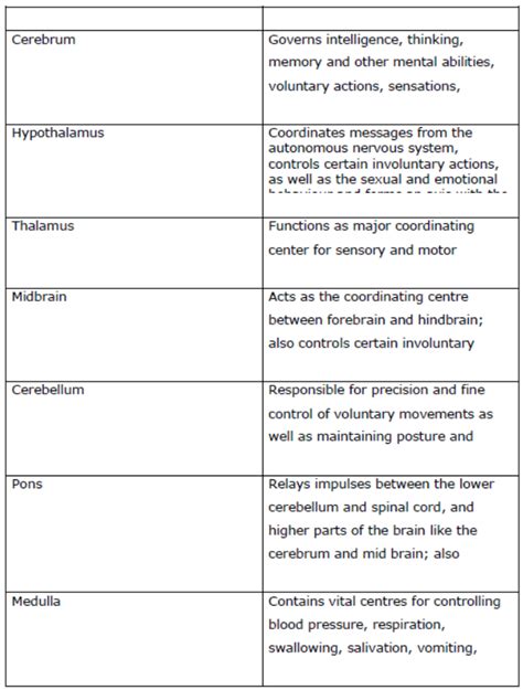 Cbse Class 10 Science Control And Coordination Notes Set A