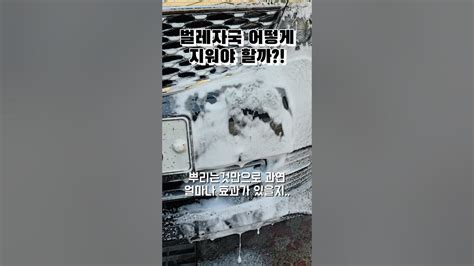 여름철 벌레자국 어떻게 지워야 할까 간단하게 지우는 꿀팁 프리머스 알칼리프리워시 세차방법 Youtube