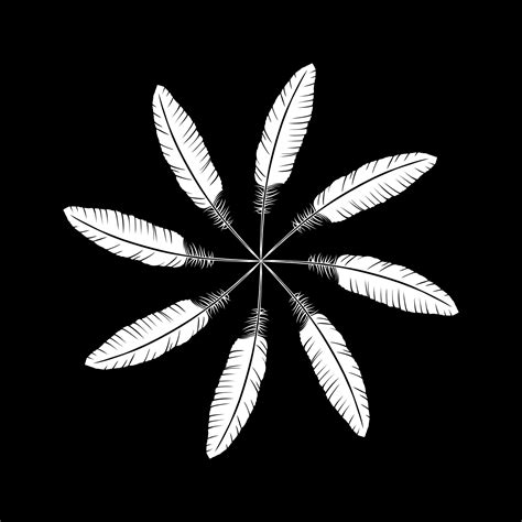 Ornamental Circle Shape Made By Feather Composition For Decoration Ornate Website Art