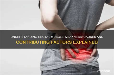 Understanding Rectal Muscle Weakness Causes And Contributing Factors