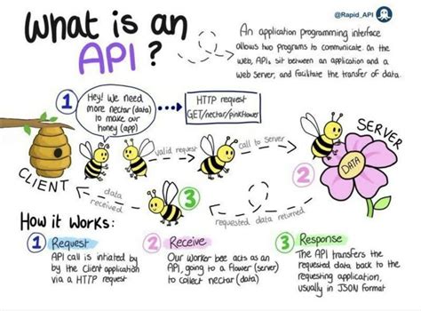 Pin By Mini On Pins By You In 2025 Learn Computer Science Learn