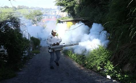 Aumentan Casos De Dengue En Puebla 658 Casos En Este 2024