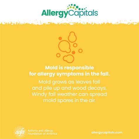 Penicillium Mold Allergy Paradise For Mold The Human Hazard