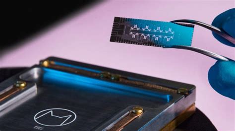 Amazon Partners Quantum Cat Gets A Squeeze As Errors Shrink 160x Without A Meow