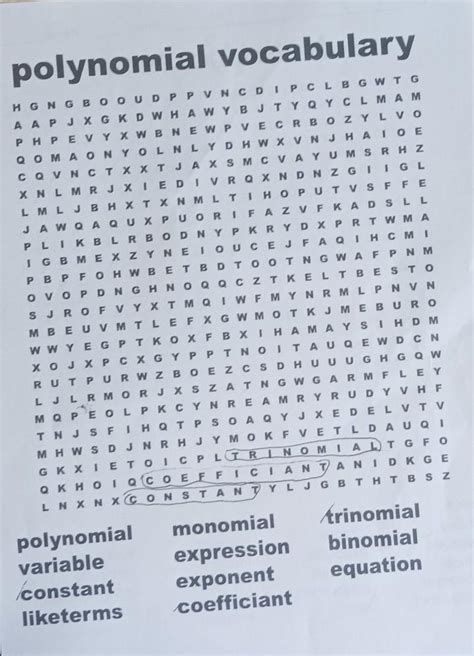 Polynomial Vocabulary Answers Brainlyph