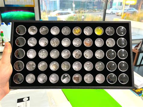 Resources Element Sets