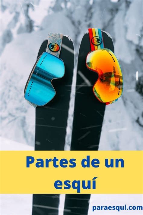 Partes De Un Esquí Guía Completa Para Elegir El Mejor Equipo Cómo Esquiar Por Primera Vez