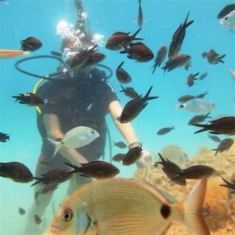 Corysweety Corysweety Cam Girl Corysweety Cam Girls Corysweety Videos