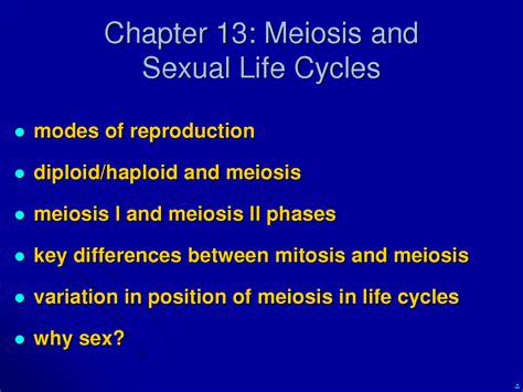 SOLUTION Meosis And Sex Life Cycle Studypool