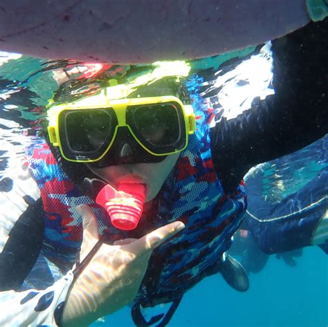 純靠北工程師 純靠北工程師8pb 親愛的同事， Facebook