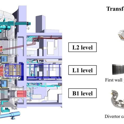 Cross Section Of The Iter Tokamak In Vessel Components Which Are Download Scientific Diagram