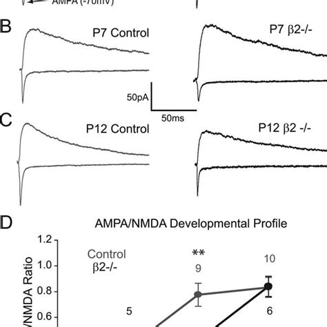 A Coincident Burst Based Pairing Protocol Results In Heterogeneous Download Scientific Diagram