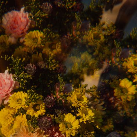 Ben Böhmer Releases New Single Rust From Upcoming Album Edmtunes