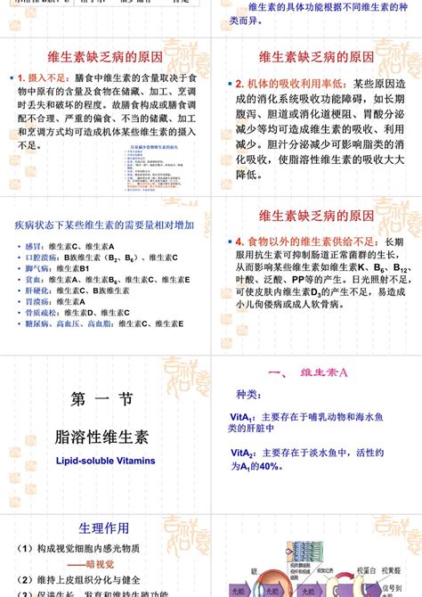 维生素营养与疾病知识讲解ppt模板 卡卡办公