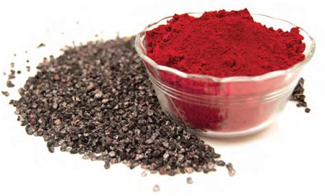 Red Food Coloring Bugs