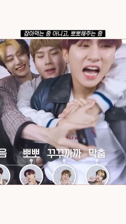 뽀뽀가 싫은 막둥이 Youtube