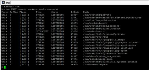 What Is Netstat Example With Netstat Commands Systemconf