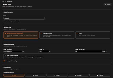Cloudflare Pangolin Access Your Homelab From The Internet Over Cgnat With Help Of The