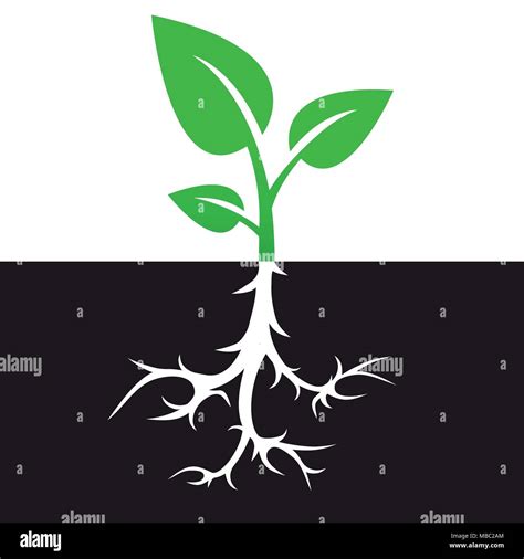 Sprout With Root Vector Icon Design Vector Illustration Stock Vector