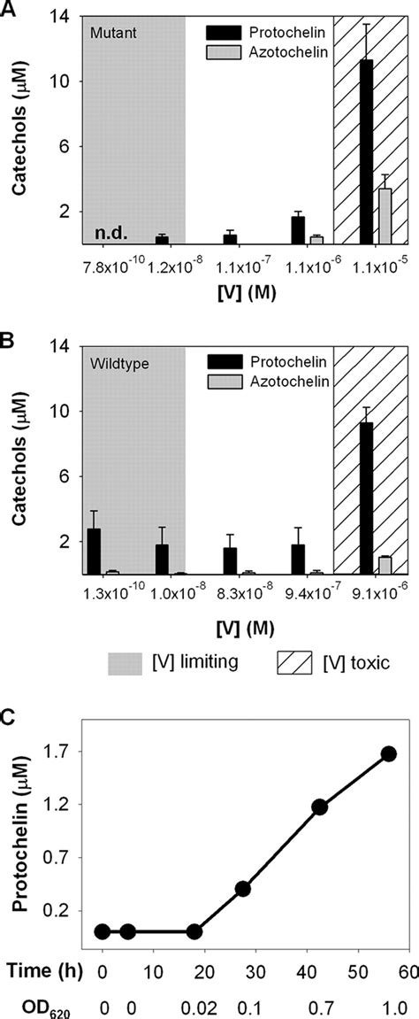Vanadium Requirements And Uptake Kinetics In The Dinitrogen Fixing
