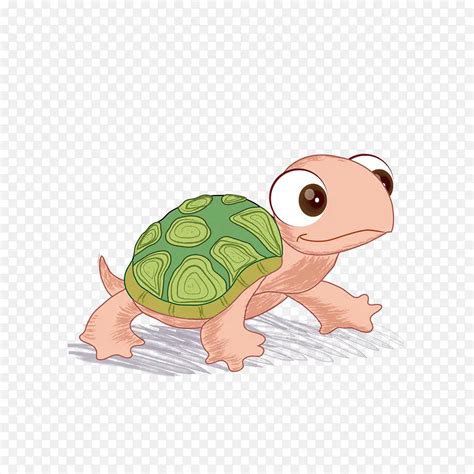 矢量卡通乌龟png图片素材下载图片编号qxjrdjpb 免抠素材网