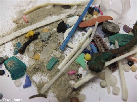 Primary And Secondary Microplastics Just One Ocean
