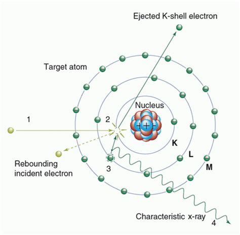 X Rays Production