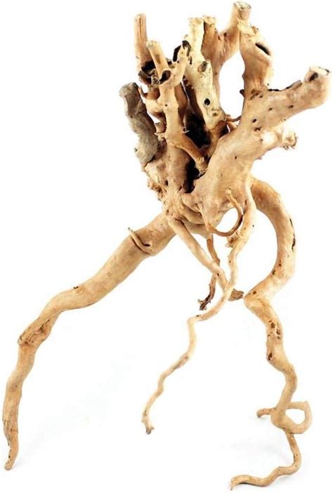 Aqua One Azalea Root Approx 30 40cm Pieces Buy Best Price In Uae Dubai Abu Dhabi Sharjah