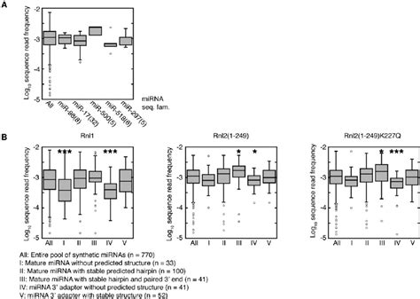 MiRNA Representation Is Influenced By Folding A Members Of The Download Scientific Diagram
