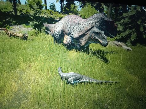 These Two Helped Me Grow My Dino For The First Time In Game R Theisle