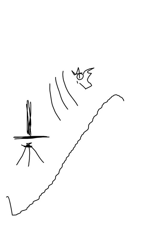 Echolocation Call Reflections While Recording Bat Calls With Mic