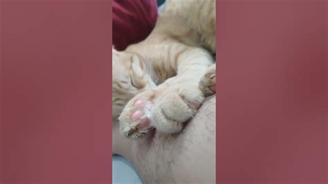 جای خوابیدن شازده 😅😍😻🥺 Youtube